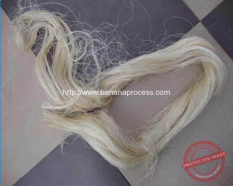 Automatic Banana Stem Fiber Extracting Machine | Plantain Banana ...