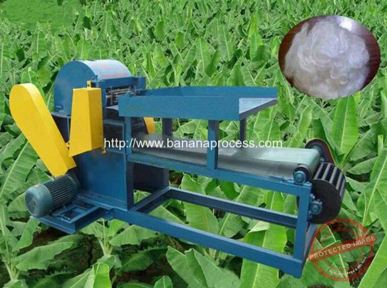 Automatic Banana Stem Fiber Extracting Machine | Plantain Banana ...