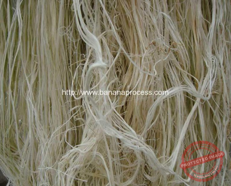 Automatic Banana Stem Fiber Extracting Machine | Plantain Banana ...