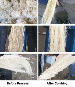 Automatic Banana Tree Fiber Combing Machine | Plantain Banana ...