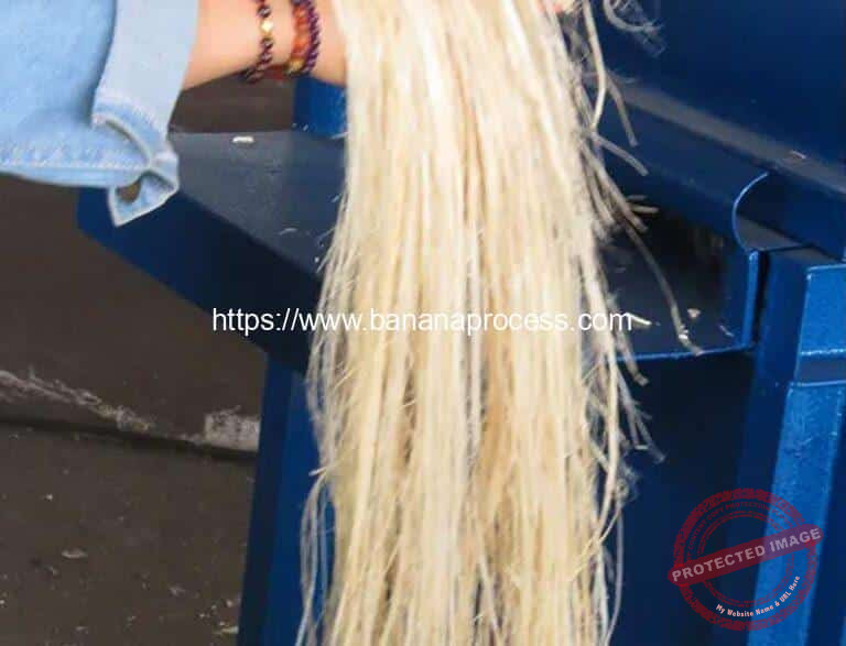 Automatic Banana Tree Fiber Combing Machine | Plantain Banana ...