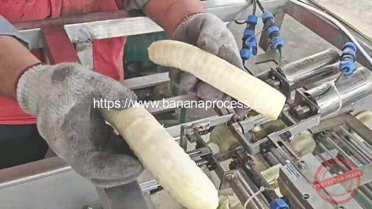 Double Belt Green Banana Peeling Machine 2021 | Plantain Banana ...